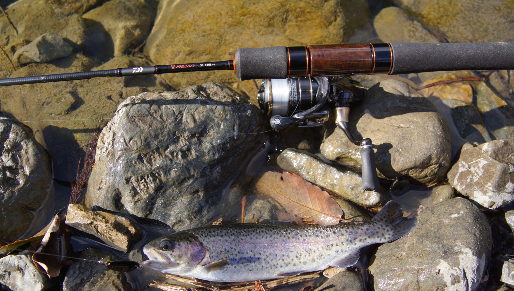ダイワ「プレッソST 60UL-4」インプレ。エリアトラウトだけじゃなくアジングやメバリングにもOK！｜マイボ！