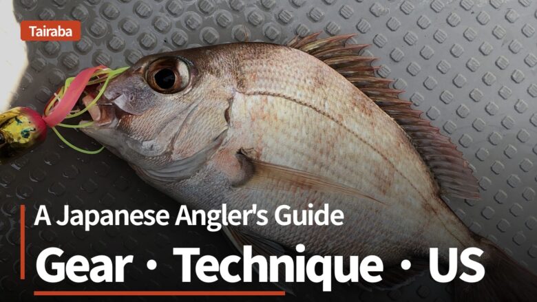 Complete Guide to Tairaba Fishing: A Japanese Angler’s Walkthrough｜マイボ！